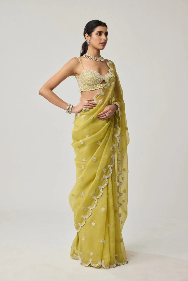 Fern Green Organza Mirror and Pearl Saree Set – Panache by Sharmeen